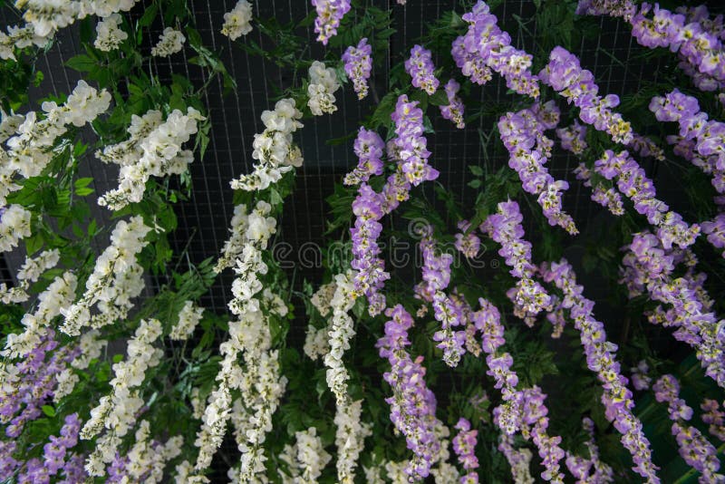 Plastic flower decoration. stock image. Image of interior - 53669109