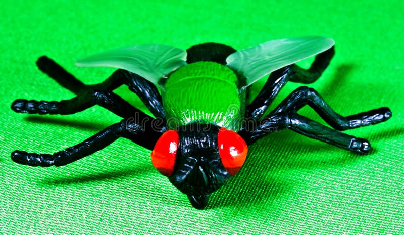 Plastic toy fly. stock image. Image of closeup, painted - 23890333