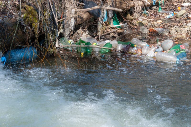 Foam Box Garbage on the Beach. Ecology, Environmental, Pollution and ...