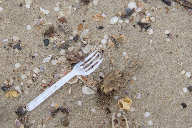Plastic Forks Left on the Beach Stock Photo - Image of plastic, ecology ...