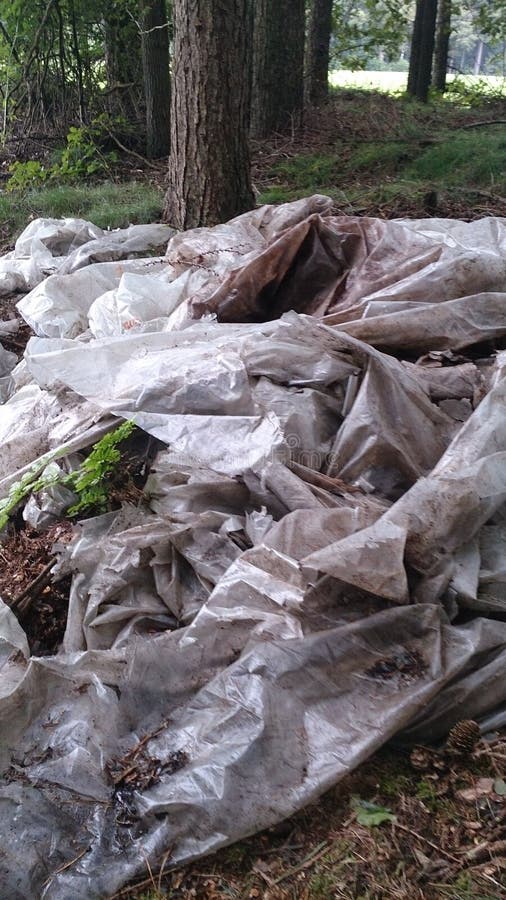 Plastic in the Forrest stock photo. Image of plastic - 240097110