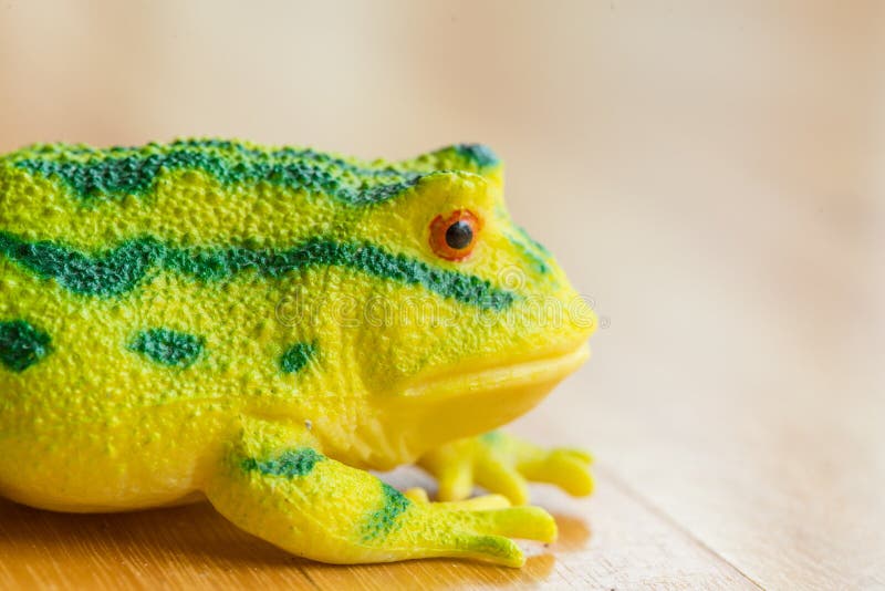 Plastic frog stock photo. Image of yellow, frog, fauna - 48571926