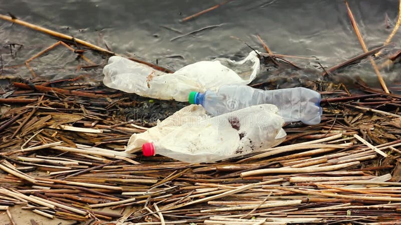 Plastic Garbage and Plastic Bags on the River Bank Float on the Water ...
