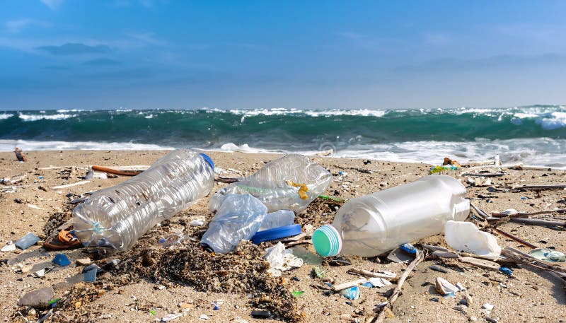 Plastic Garbage on the Beach. Environmental Pollution. Pollution of ...