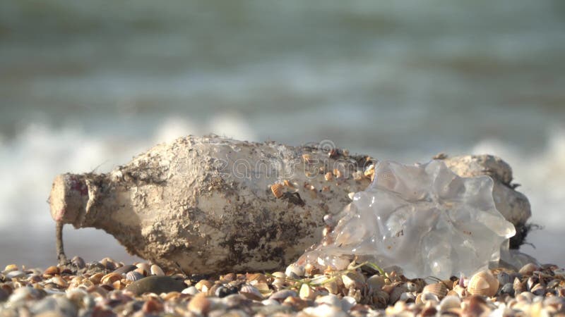 Plastic Garbage and a Bottle on the Seaside. the Problem of Plastic ...