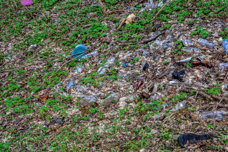 Plastic Garbage in the Forest Stock Photo - Image of transparent, lake ...
