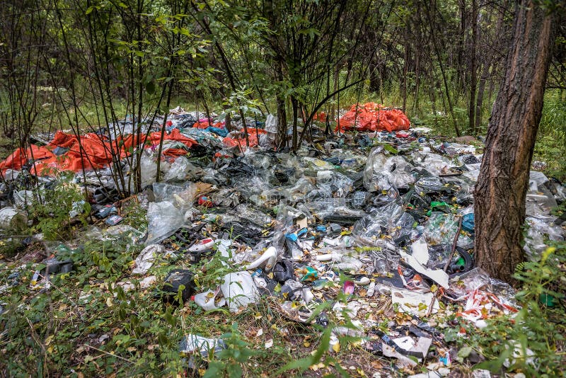 Plastic Garbage in Green Forest Stock Image - Image of dirty, danger ...