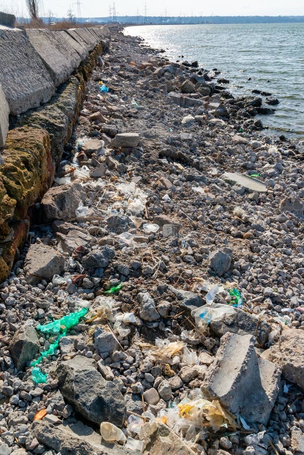Plastic Garbage and Microplastics on the Shore of Khadzhibey Estuary ...
