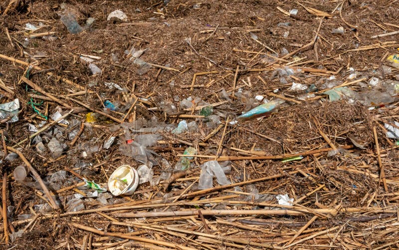 Plastic Garbage in Nature, Pollution Stock Photo - Image of dirty ...