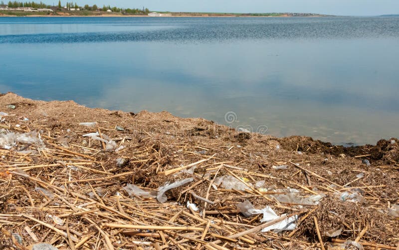 Plastic Garbage in Nature, Pollution Stock Image - Image of containers ...