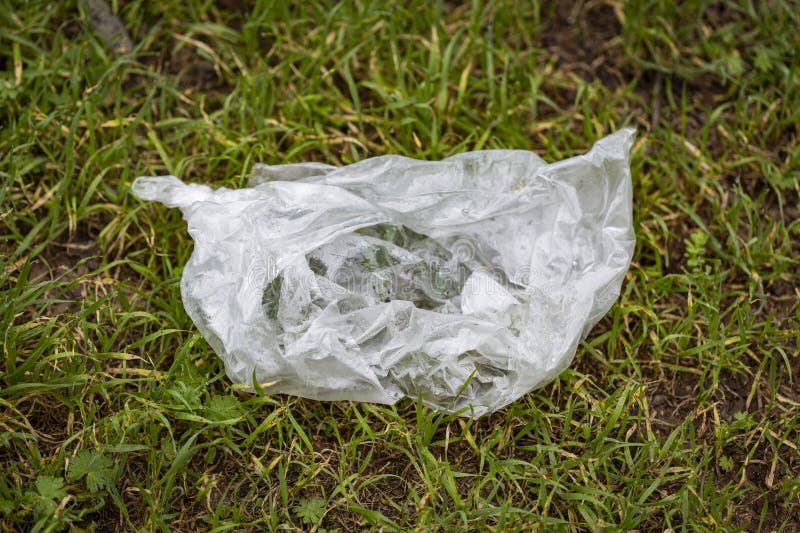 White Plastic Bag Thrown in the Forest, Environmental Damage.Plastic ...
