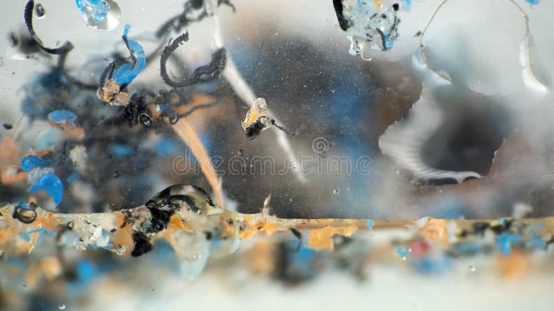 Plastic Gets into the Pond and Gradually Destroyed Stock Image - Image ...