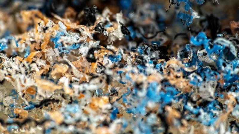 Plastic Contamination of Water Environment Stock Image - Image of ...