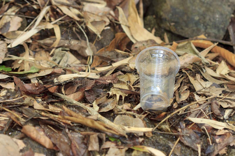 Plastic glass Garbage stock image. Image of litter, rubbish - 31735517