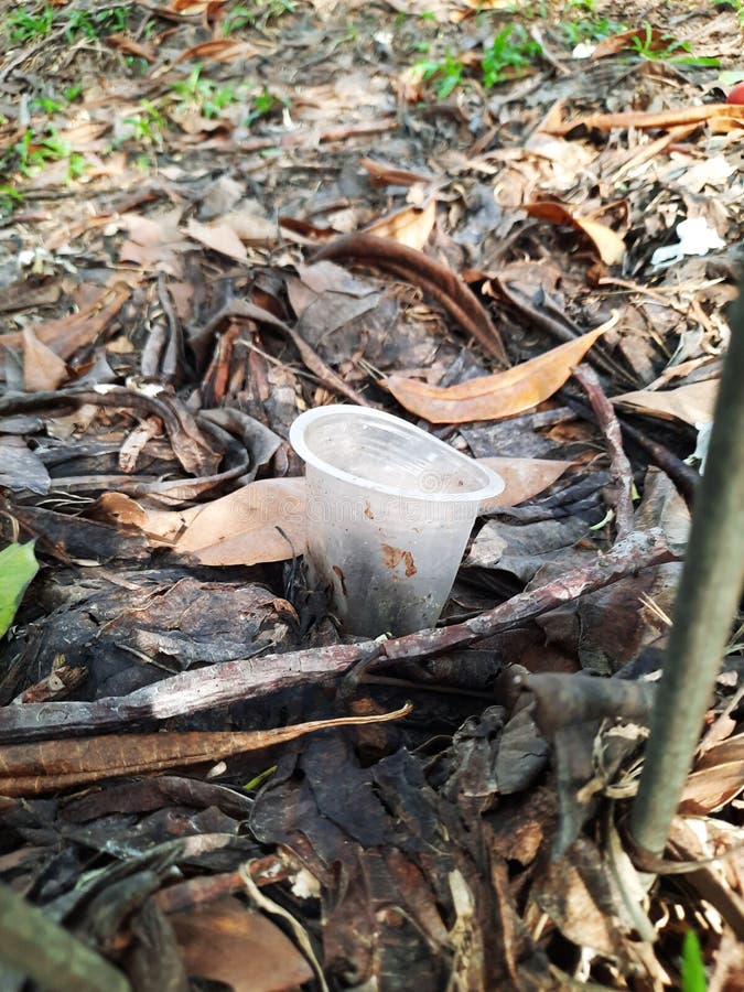 Plastic Glass Waste is Very Dangerous for the Environment Stock Image ...