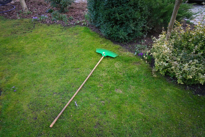 Plastic Grass Rake with a Wooden Handle Stock Image - Image of isolated ...