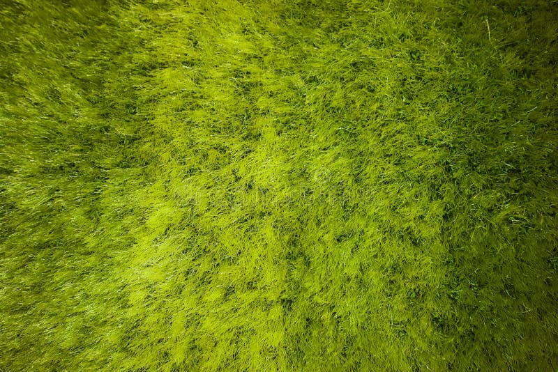 Plastic Green Grass Carpet Texture Stock Image - Image of carpet ...