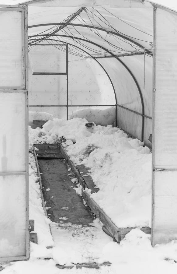 Plastic Greenhouse in Winter with Snow Inside at Cozy Evening Stock ...
