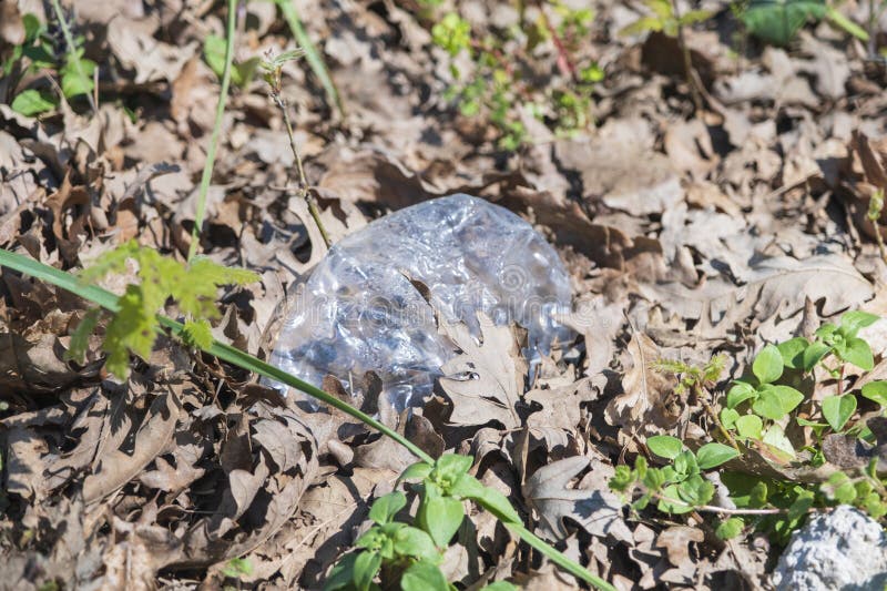 Plastic Intruder Spoiling Pristine Nature Stock Image - Image of ...