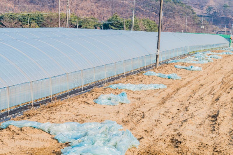 Plastic Laying in Field beside Large Greenhouse Stock Image - Image of ...