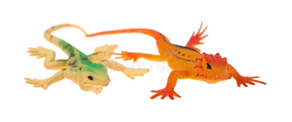 329 Artificial Plastic Legs Siliguri Stock Photos - Free & Royalty-Free ...