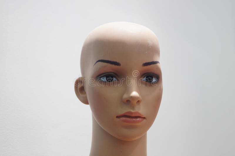 Plastic model stock photo. Image of plastic, fashion - 46907990