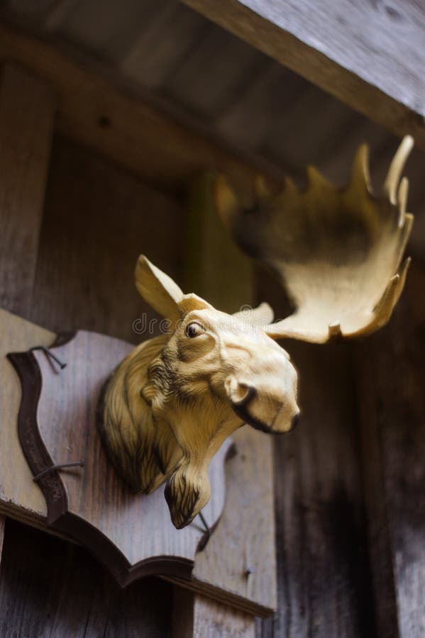 Plastic Moose Head Mounted in a Simple Plank Wall Outside. the Moose is ...