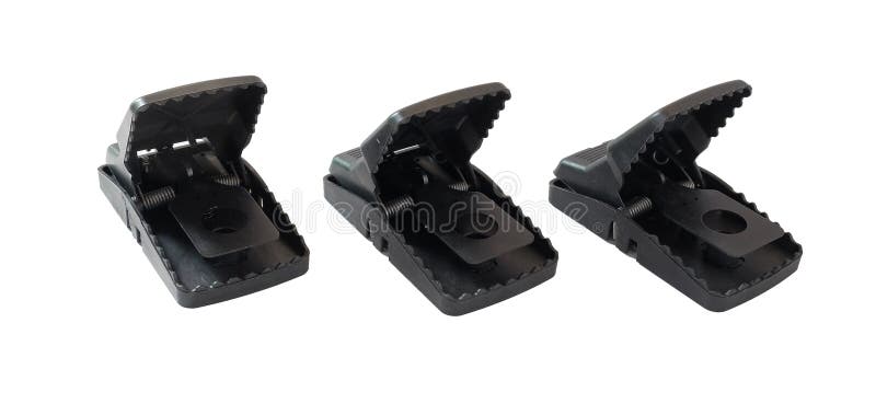 Plastic Mouse Trap on White Stock Photo - Image of rodent, catch: 359632356