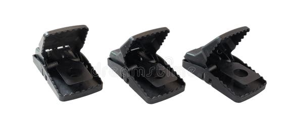Plastic Mouse Trap on White Stock Photo - Image of rodent, catch: 359632356