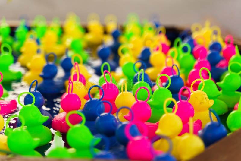 Plastic Multi-colored Toy Ducks Float in the Water. Stock Image - Image ...