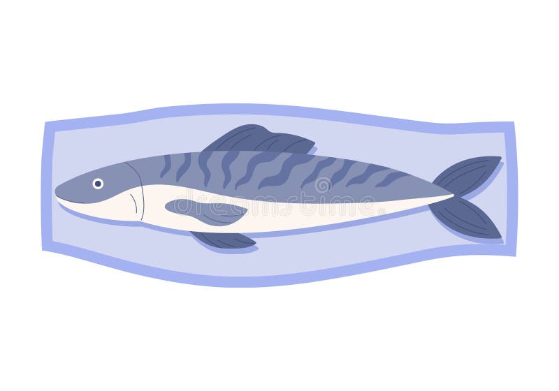 Plastic Package with Trout, Top View of Styrofoam Container with Fish ...