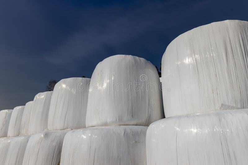 Plastic Packaging on Mown Hay for Long-term Storage Stock Photo - Image ...