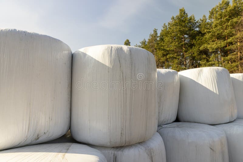 Plastic Packaging on Mown Hay for Long-term Storage Stock Photo - Image ...