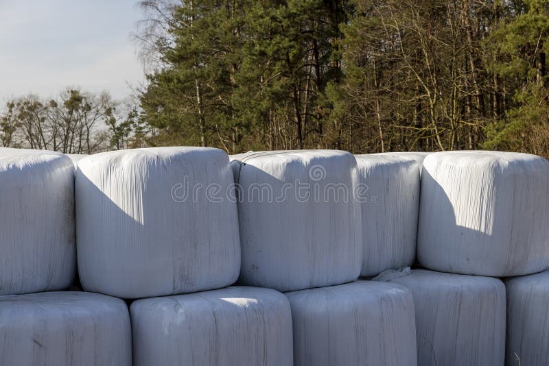Plastic Packaging on Mown Hay for Long-term Storage Stock Image - Image ...