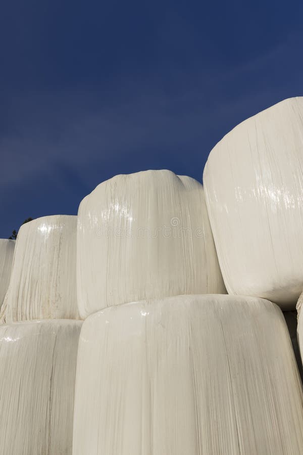Plastic Packaging on Mown Hay for Long-term Storage Stock Photo - Image ...