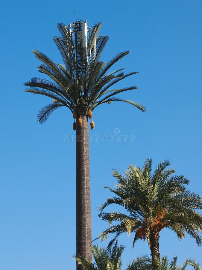 Plastic palm tree stock photo. Image of communication - 35067644