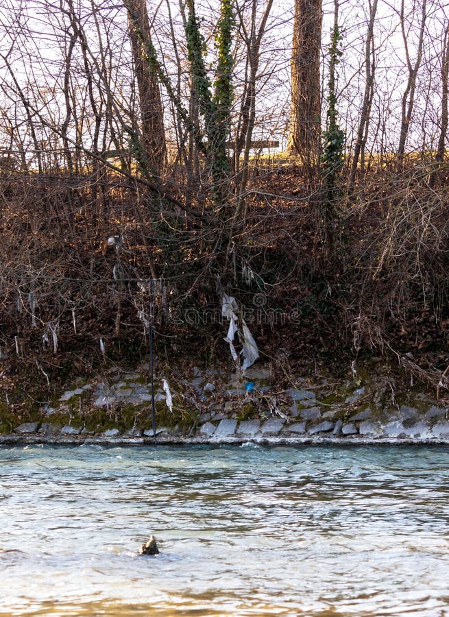 Plastic on Park`s Trees in River with Dirty Water Stock Image - Image ...