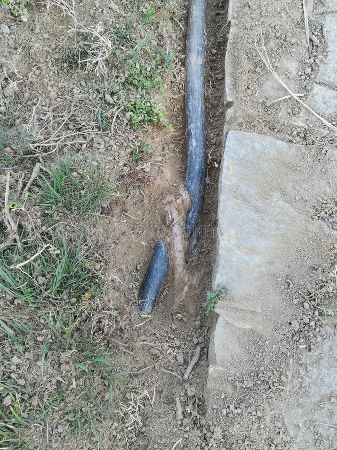 Plastic Pipe Damaged by Roots Stock Image - Image of underground ...