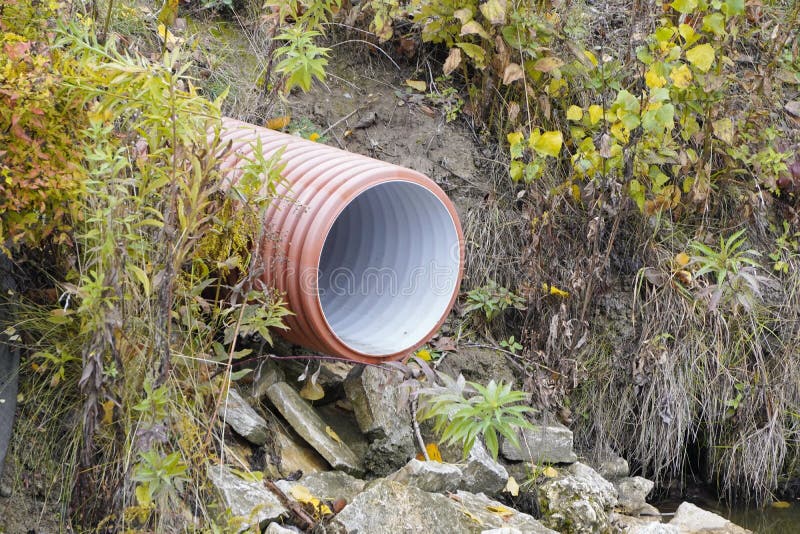 Pipeline Through Forest - Water Pipe In Forest Stock Image - Image of ...