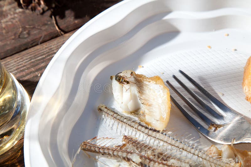 Plastic Plate with Scraps of Food Stock Image - Image of meeting ...