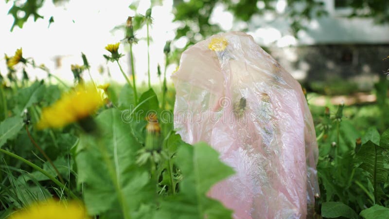 Plastic Pollution Concept. the Package on a Flower in the Grass in the ...