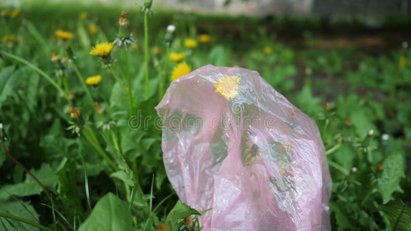 Plastic Pollution Concept. the Package on a Flower in the Grass in the ...