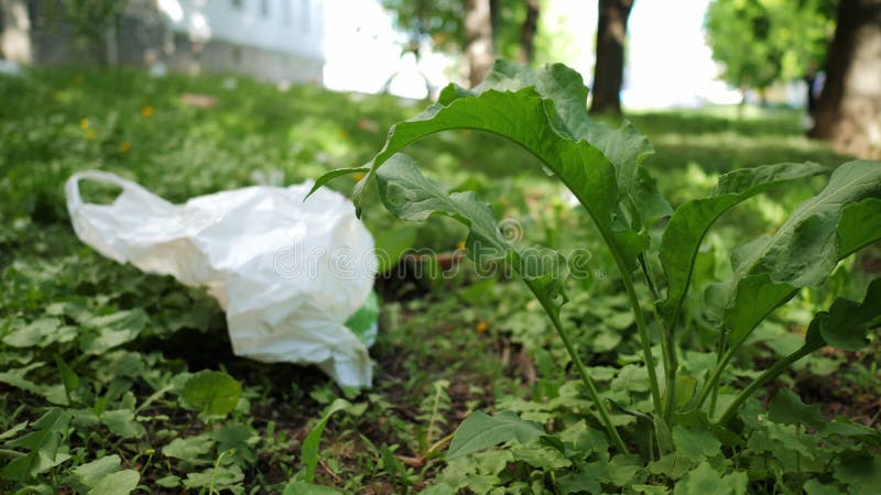 Plastic Pollution Concept. the Package Lies in the Grass in the Park ...