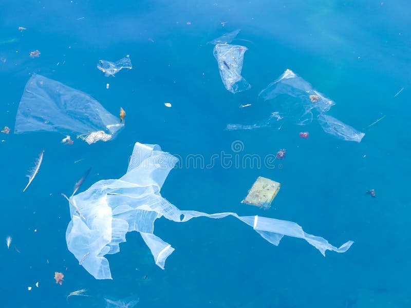 Plastic Bag Pollution Floating in the Water Stock Photo - Image of ...