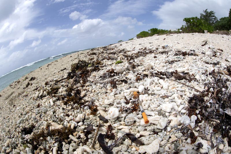 Plastic, Pollution, Mauritius, Indian Ocean Stock Photo - Image of ...