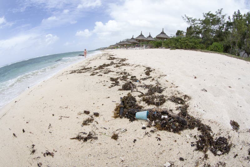 Plastic, Pollution, Mauritius, Indian Ocean Stock Photo - Image of ...