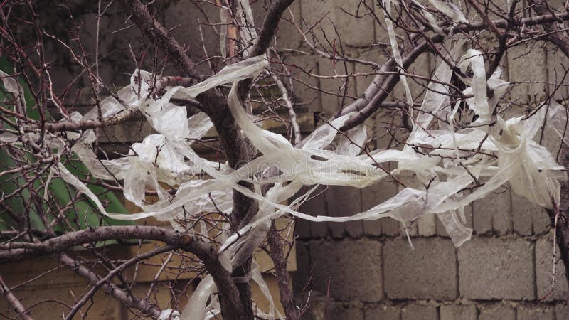 Plastic Pollution of the Planet Earth Stock Video - Video of poor ...