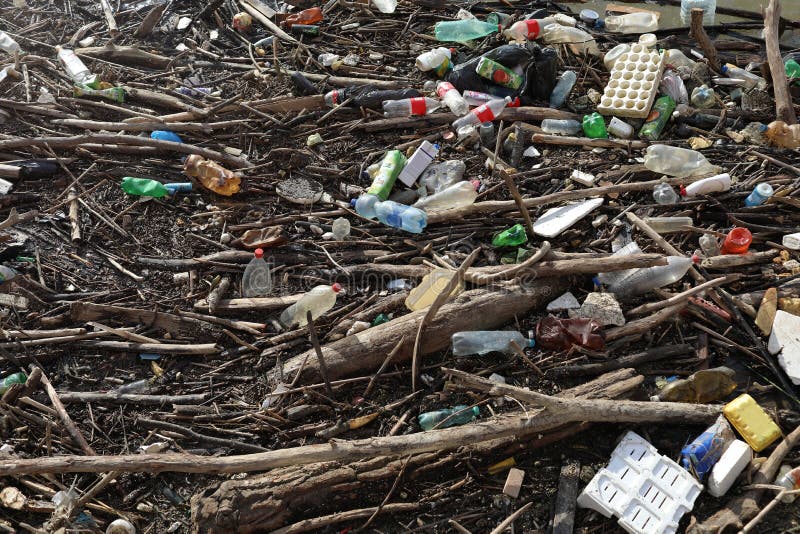 Plastic Pollution of the River in Urban Area of the City Editorial ...