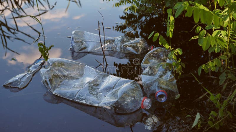 Plastic Pollution, Used Plastic Bottles in a Pond in the Sun. the ...