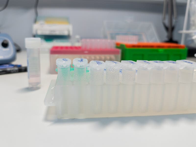 Plastic Rack Eppendorf Tubes Laboratory Working Bench Some Boxes ...